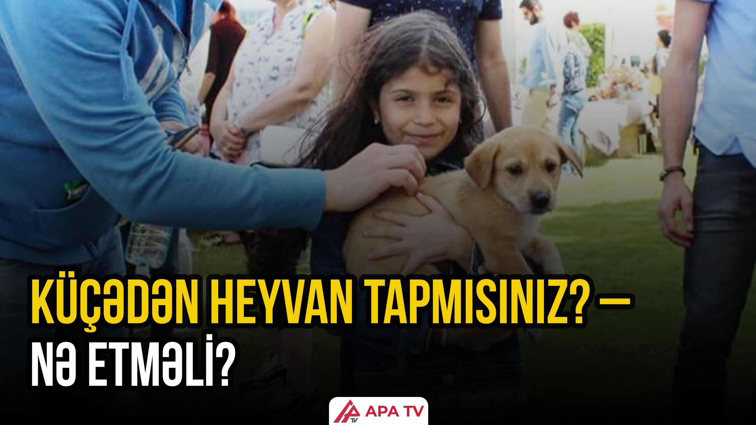 Tapdığınız heyvan hansı hallarda sizin ola bilər?