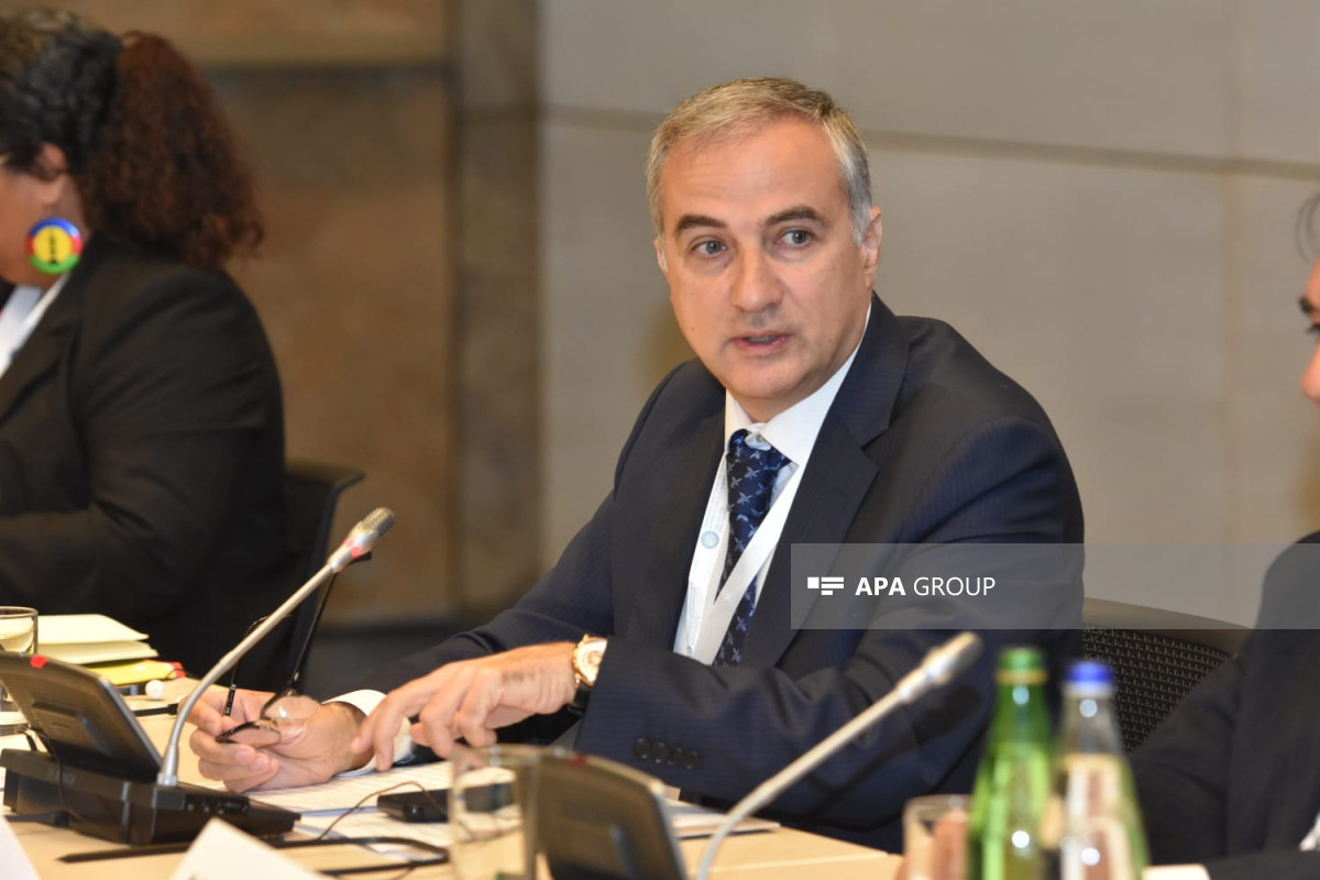Fərid Şəfiyev: Fransanın koloniyalarındakı problemlərin müzakirəsi ...